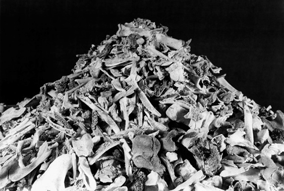 Leslie Tonkonow Artworks + Projects